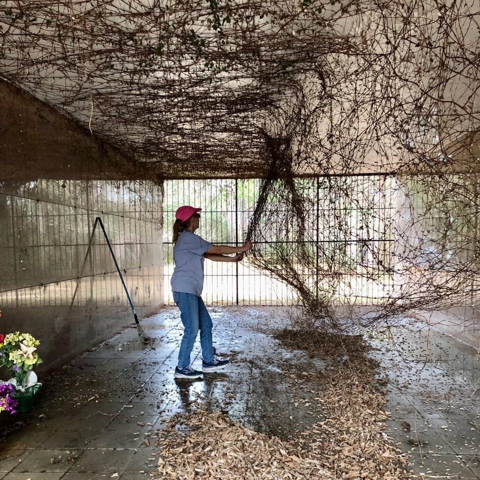 Projects/ Volunteer – Pine Crest Cemetery
